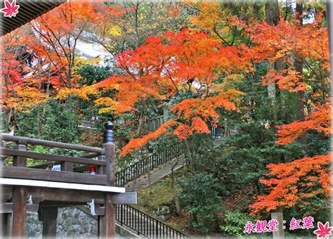 永観堂 紅葉禅林寺