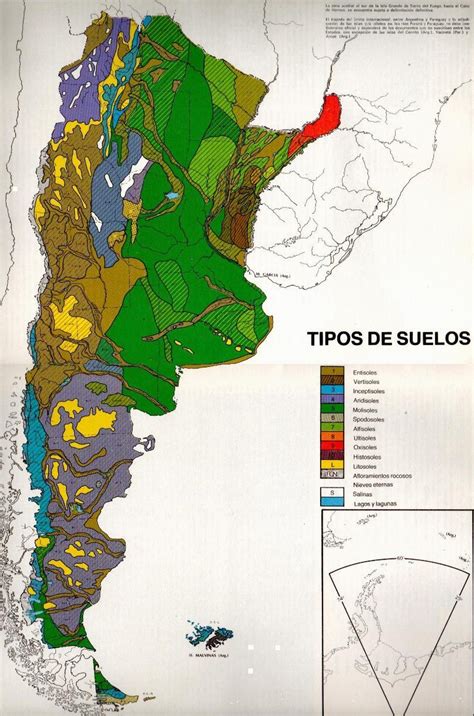 Ecológicamente Sexto Suelo Ecológico