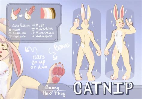 Rule 34 Animal Genitalia Animal Penis Anthro Bondage Catnip Rule 34 Animal Genitalia Animal Penis Anthro Bondage Catnip