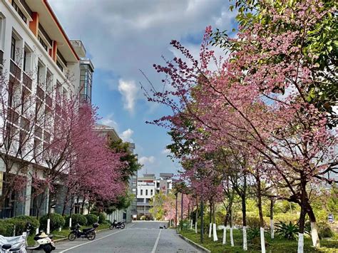 师生风采 欢迎访问普洱学院