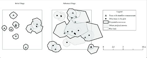 Diagram Of The Projected Crown Area Evaluation Download Scientific