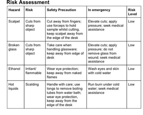 Rqp 4 Investigation Into The Effect Of A Named Variable On The Permeability Of Cell Surface