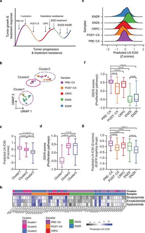 Analysis Of Drug Response Prediction In Lncap Derived Xenografts A Download Scientific Diagram