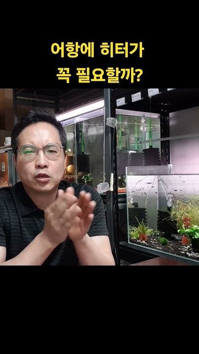 구피어항에 히터가 꼭 필요할까 열대어 키울때 항상 주의해야하는 것 금붕어어항 금붕어 물고기키우기 어항 구피어항 구피 수초어항 Aquarium Youtube
