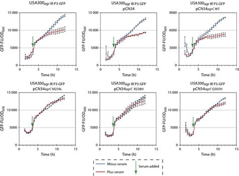Graphs Showing Gfp Expression As Gfp Fluorescence Units Gfp Fu As A