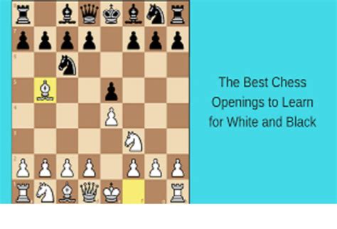 Mastering Strategies And Tactics For Success By Renzobcat Fiverr