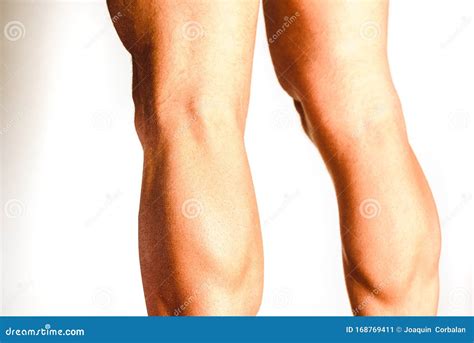 Muskler I Bakre Benet Muskeln I Soleus Och Gastrocnemius Foto Av En