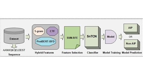 Aips Sntcn Predicting Anti Inflammatory Peptides Using Fasttext And Transformer Encoder Based