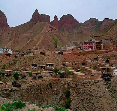 尖扎县图片 尖扎县康镇 花图片 第2页 大山谷图库