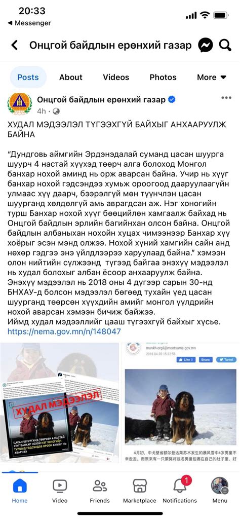 Enni Энни За ингэж шившигээ тарихгүй ээ Бүхэл бүтэн улс