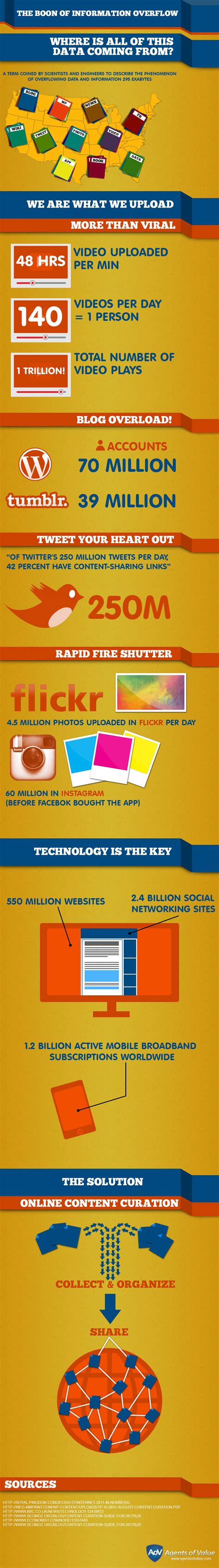 Making Use Of Information Overflow Infographic Datareign