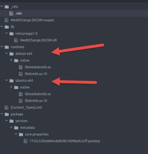 Running Net Core Nuget Package With Native Dependencies Library Not Found Stack Overflow