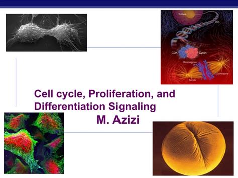 Cell Signaling Protocols And Define Its Application Ppt