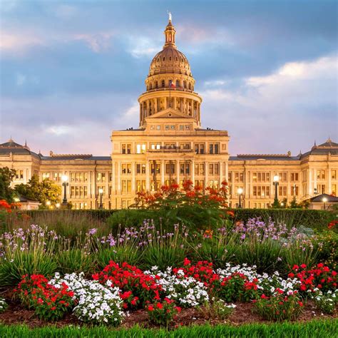 Texas State Capitol Building Wall Art Elephant Stock
