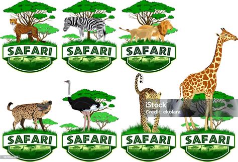 사자 얼룩말 타조 표범 기린 치타와 발견 하이에나와 벡터 아프리카 사바나 사파리 엠블럼의 세트 사파리 여행에 대한 스톡 벡터 아트 및 기타 이미지 Istock