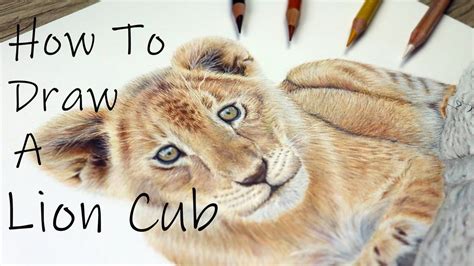 How To Draw A Lion Cub With Color Pencil Real Time Tutorial Lion