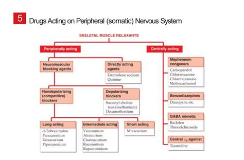 Kd Tripathi Classification Of Drugs Pptx