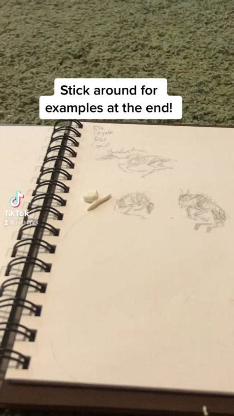 Strange Biology How To Make Fake Fossils Strange Biology How To Make Fake Fossils