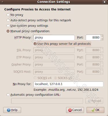AMpm FUN How To Use A Proxy Server On Ubuntu
