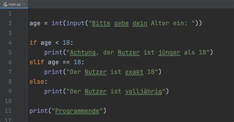 Die Python Elif Und Else Zweige Mit Video Problemstellung Beispiele