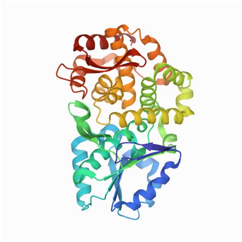 Rcsb Pdb 1xag Crystal Structure Of Staphlyococcus Aureus 3 Dehydroquinate Synthase Dhqs In