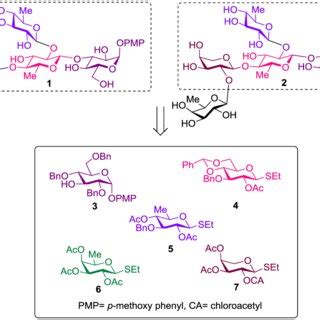 Structure Of The Synthesized Tetrasaccharide 1 And 2 And Its