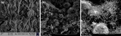 SEM Picture Of Mix Cured At A Room Temperature C And B C C Download Scientific