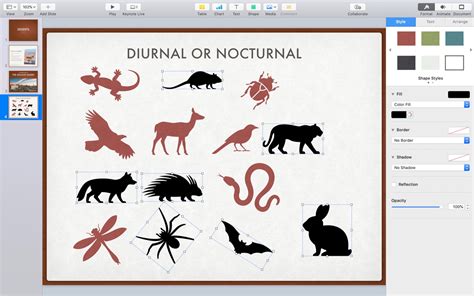 Keynote Insert Photos And Shapes Alludo