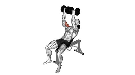 Dumbbell Incline Twisted Fly Ultimate Exercise Guide And Tips