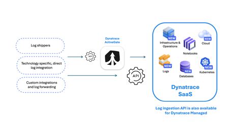 Log Ingestion Api Monitoring And Observability Dynatrace Hub