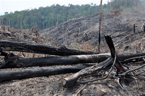 28 Facts About Depletion