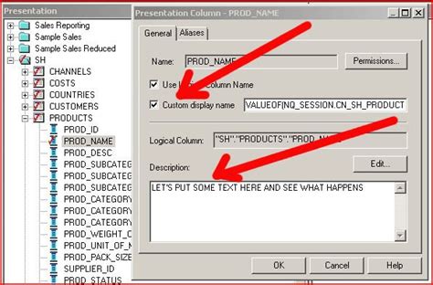 ORACLENERD OBIEE Tooltips In Answers