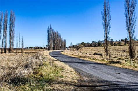 푸른 하늘 아래 호주 뉴사우스웨일스주 딥워터 근처의 갈색 들판을 통과하는 아스팔트 시골 길 0명에 대한 스톡 사진 및 기타 이미지 0명 갈색 계절 Istock