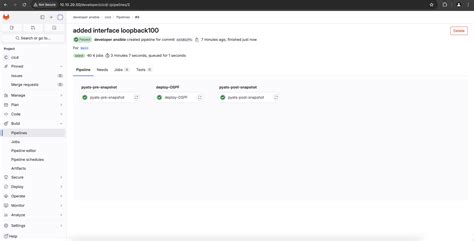 configuring a new interface ansible fest lab guide cisco devnet