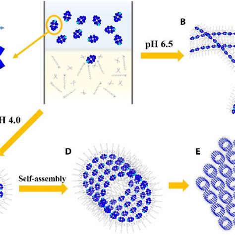 Pdf Single Molecule Mediated Assembly Of Polyoxometalate Single Cluster Rings And Their Three