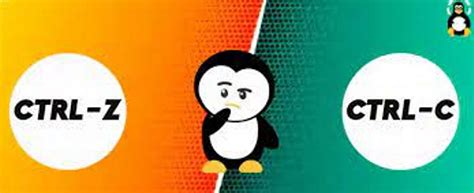 Linux Devops Terminal Processmanagement Signals Raghav Tiwari