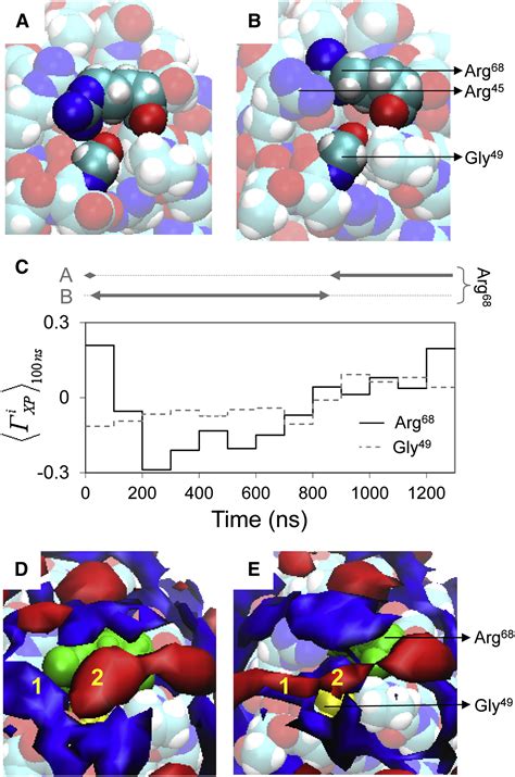 Quantitative Characterization Of Local Protein Solvation To Predict