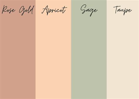 Rose Gold Apricot And Sage Wall Color Palette