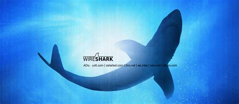 网络抓包工具 Wireshark 中文版 歲月留聲 网络抓包工具 Wireshark 中文版 歲月留聲