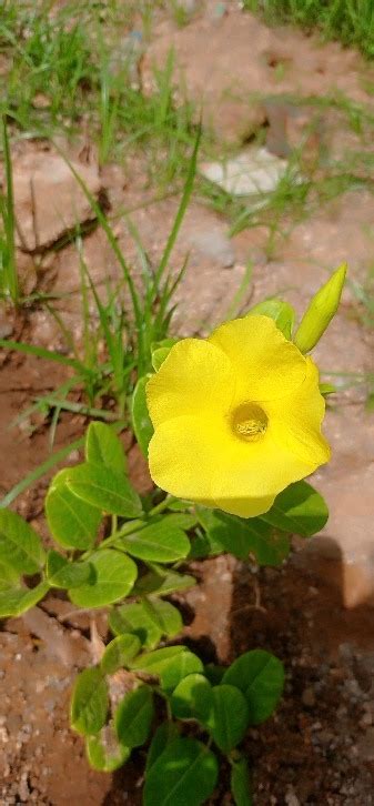 Devraj Singh Devrajsingh3975 • Instagram Photos And Videos