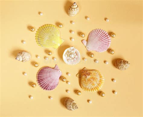 Composition Of The Different Types Of Pearls Stock Image Image Of