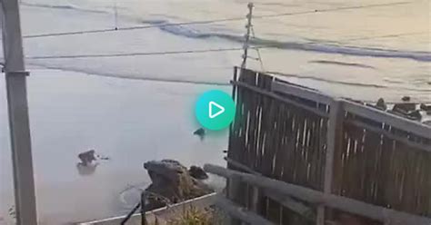 This Beach Aint Big Enough For The Two Of Us So Git Album On Imgur