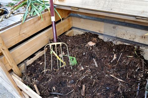 5 Composting Problems How To Fix Them Flies Stinky Compost Rodents More