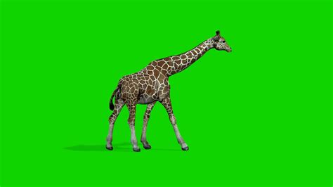 Page 2 Plane Crash Green Screen Videos Download 10206 Free 4k And Hd
