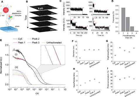 Figure 2 From High Performance Chromatographic Characterization Of