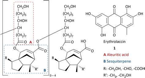 General Structure Of Shellac And 1 Download Scientific Diagram