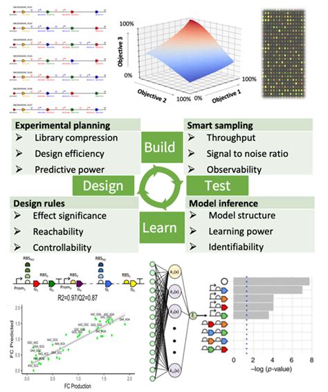 Ai Based Genetic Circuit Design Pablo Carbonell
