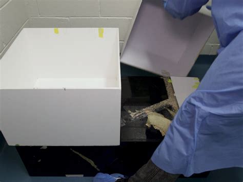 Novel Object Recognition Test For The Investigation Of Learning And Memory In Mice