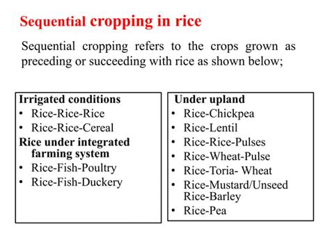 Rice Based Cropping System Pptx Agriculture Industries