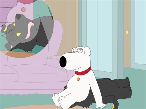 Rule 34 Anal Anthro Brian Griffin Canid Canine Canis Collar Cutaway
